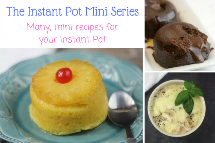 Instant Pot Mini Series ⋆